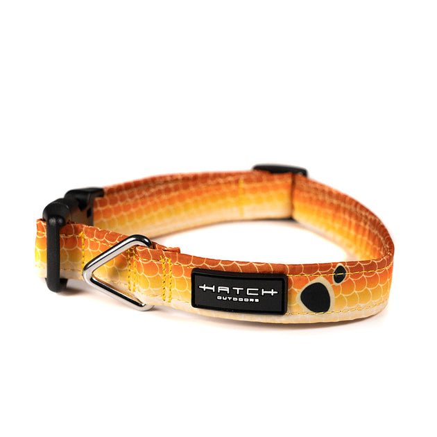 Hatch Outdoors | Dog Collars – Hatch Outdoors, INC