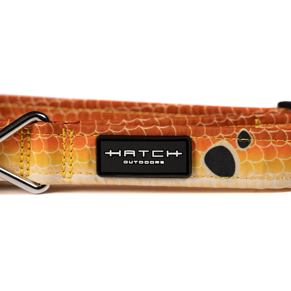 Hatch Outdoors | Dog Collars – Hatch Outdoors, INC